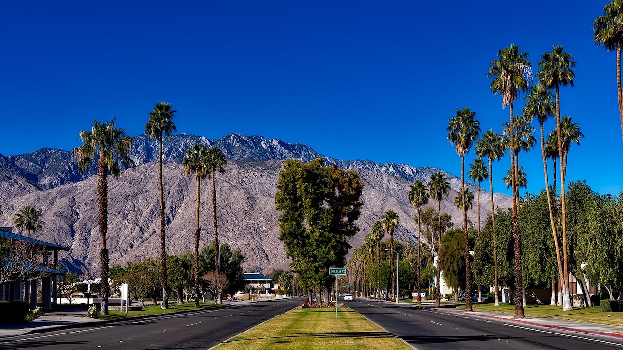 【VANS】AUTHENTIC アナハイムファクトリー44DXの違いは何？ | ちゃん貴の物欲解消備忘録